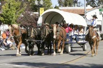 Hire A Horse Drawn Vehicle