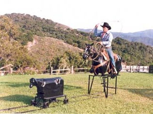 Hire A Horse Drawn Vehicle